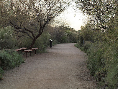 Birding Is Fun!: Arizona Birding Hotspot: Gilbert Water Ranch