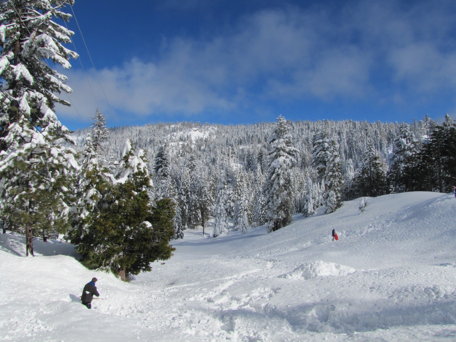 Moore2Love: Snow Day at Shaver Lake