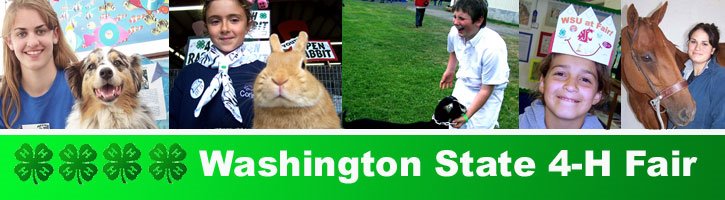 Washington State 4-H Fair
