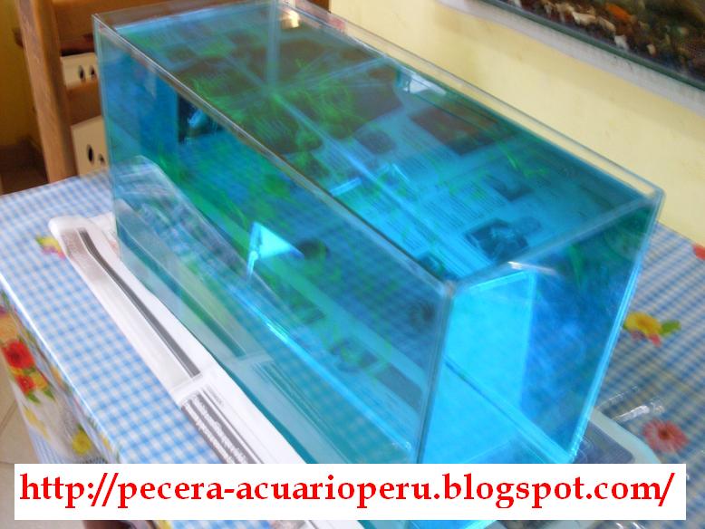 VENTA DE PECERAS: CONSTRUCCIÓN DE PECERA