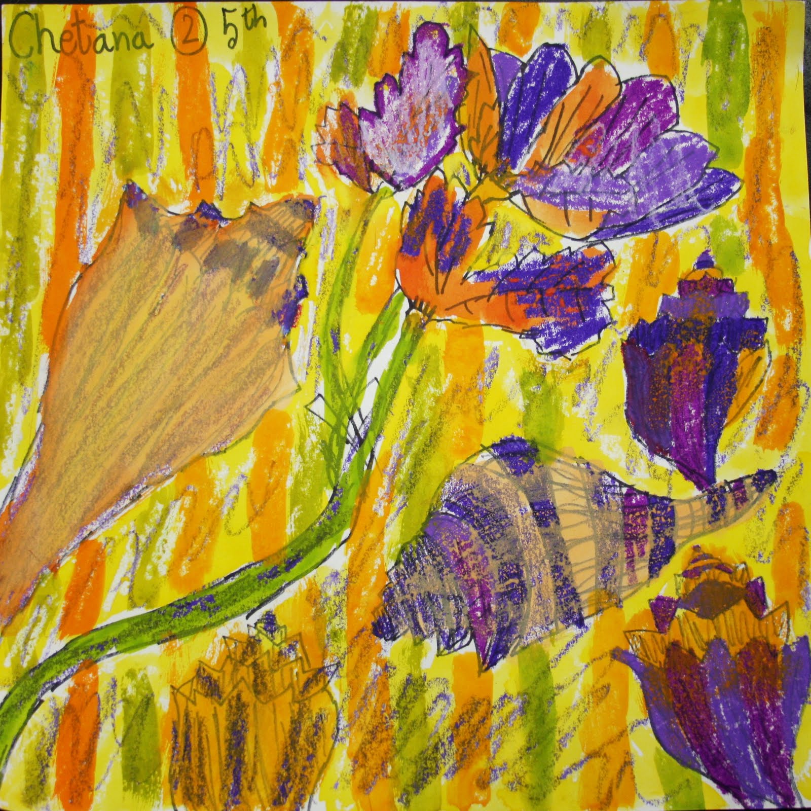 Briargrove Elementary Art Page: Nature Observations: Complementary ...