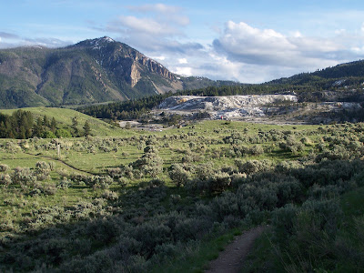 Adventures in Yellowstone: Beaver Ponds Loop