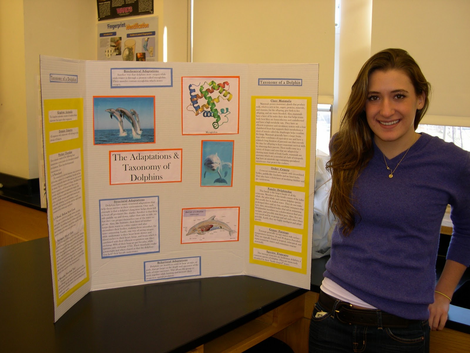 Bronxville Science Department: Evolution Projects: Adaptations