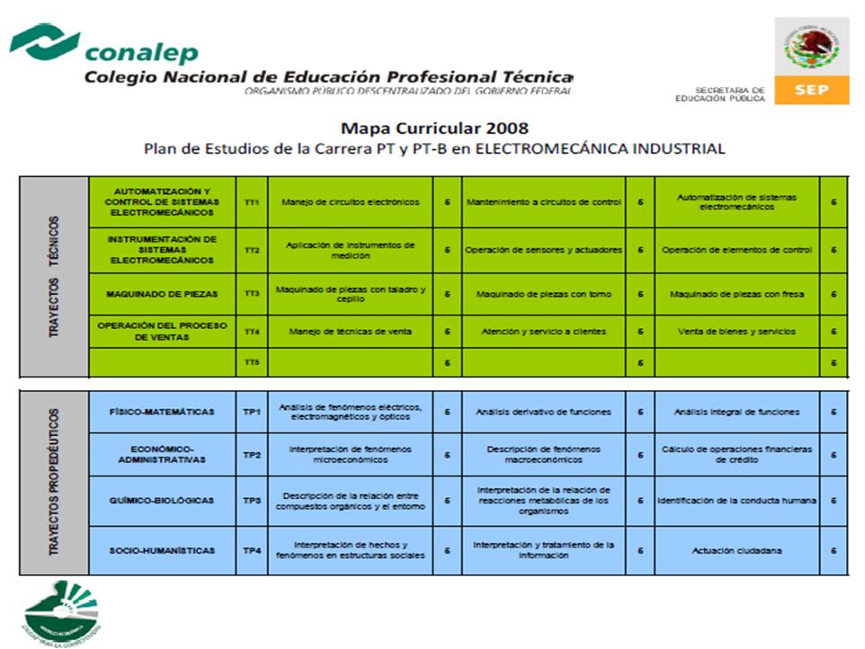 PROYECCION PyP: MAPAS CURRICULARES