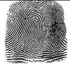 Ciencia Criminalística: Tipos fundamentales del Sistema Dactiloscópico ...