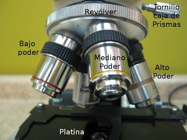 el Blog del Profe de Biolo: Partes del Microscopio óptico y su función
