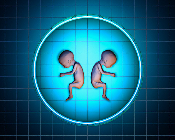 CLONACION HUMANA, ¿TIENE LA CIENCIA UN LIMITE?