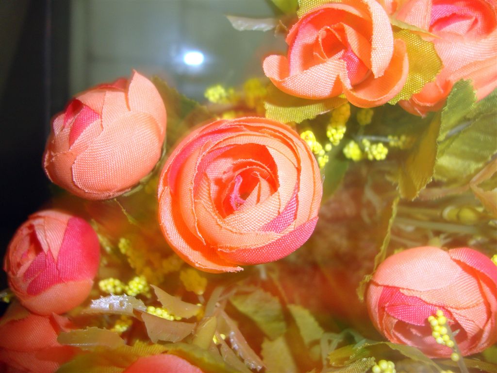 Florart: Flor em tom alaranjado