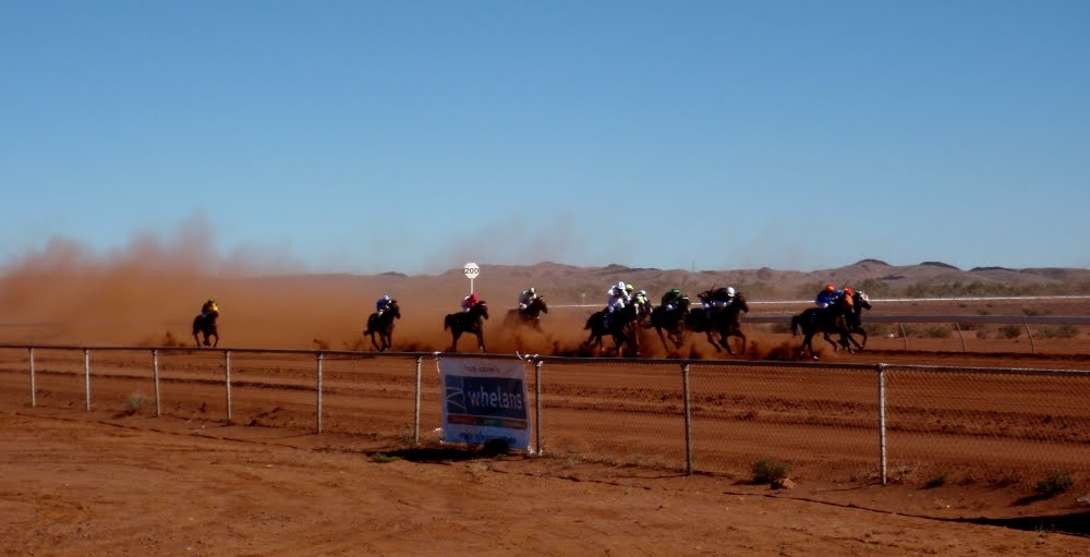 The Adventures of Chogee & Ted: The Roebourne Cup