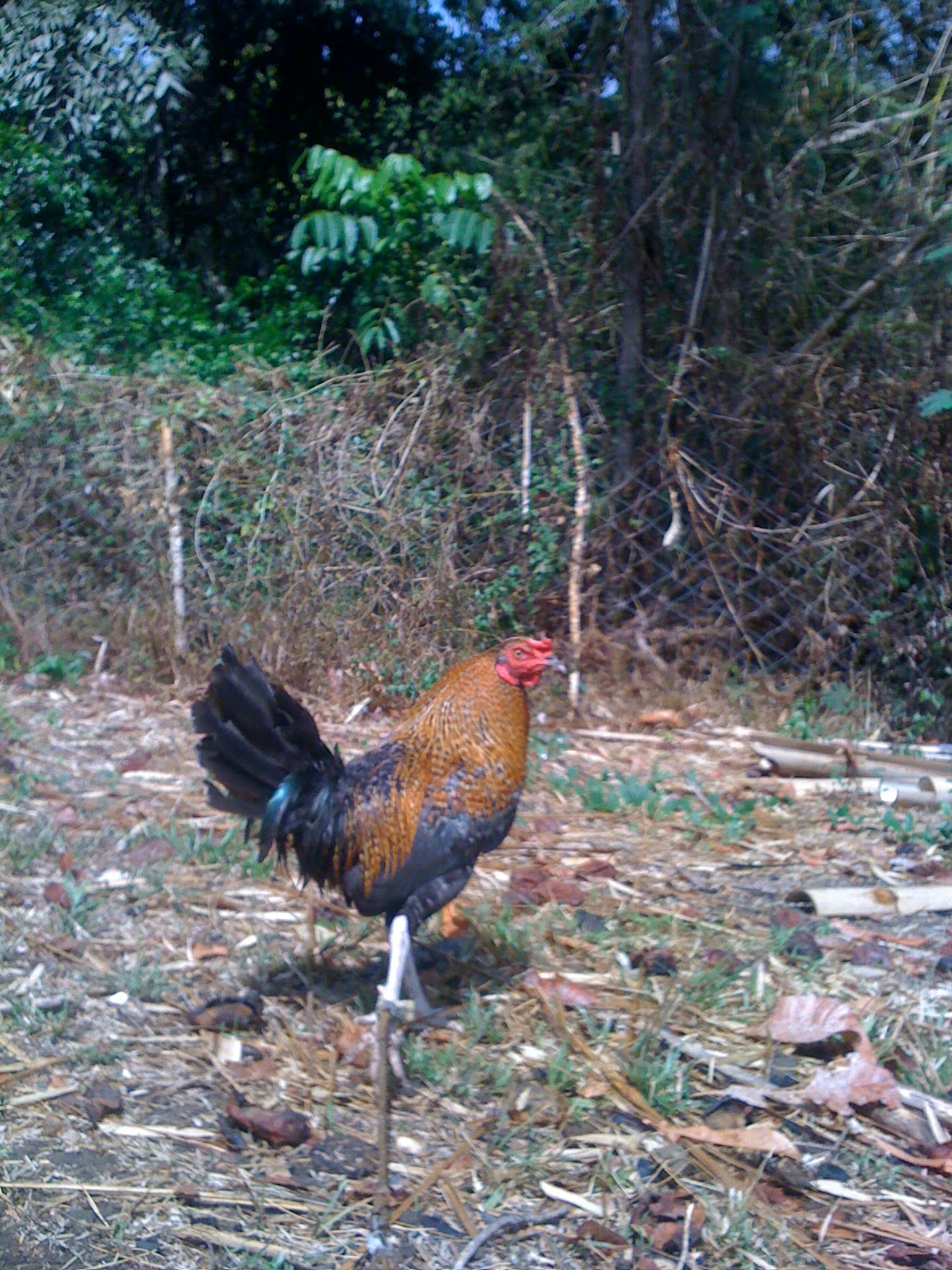 Team EbokAlaEh: May 2010