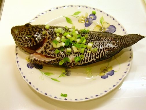 Life Tips n'd Tricks: Microwave Steamed Fish