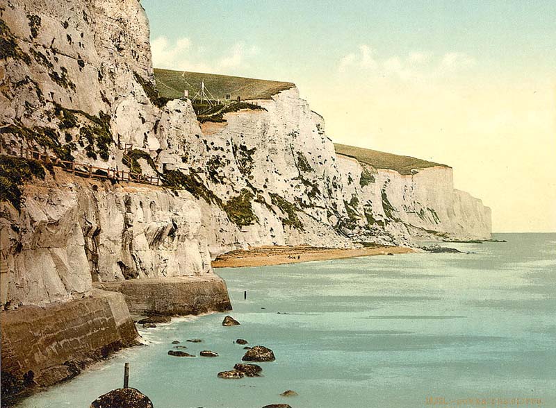 Tangled Trees: The White Cliffs of Dover