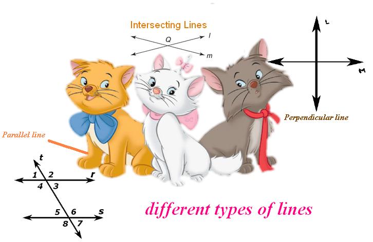 different types of lines | Online Math Homework Help