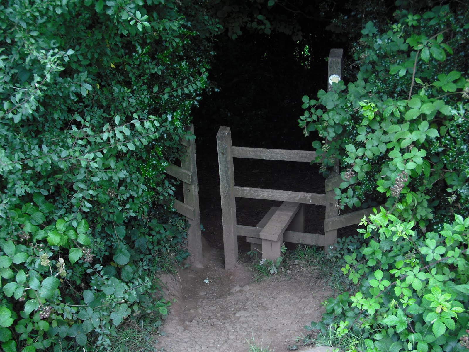 Drunken Ramblings: Cardiff Pub Walks: Roath to Lisvane - 3.5 miles