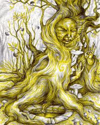 Celtic Tree Lore - Elder Myth & Folklore | Mother Moon