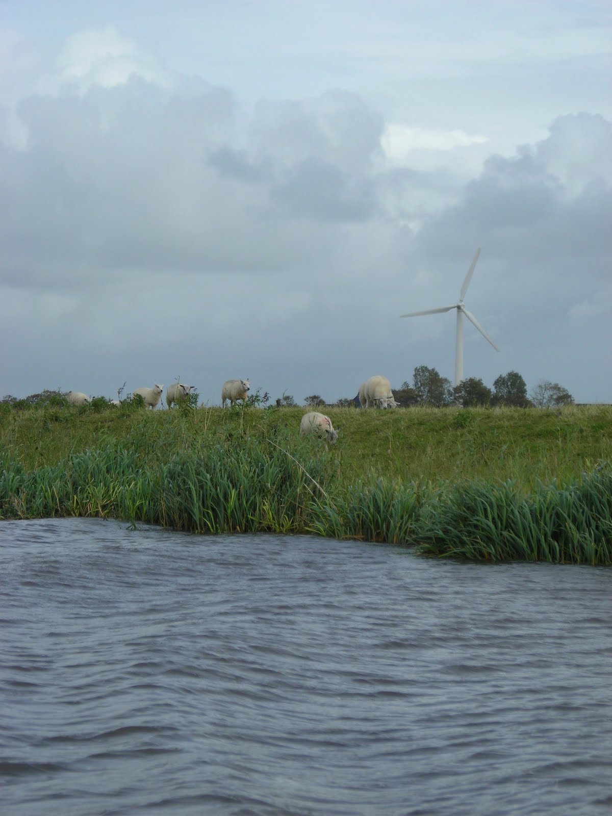 Seasonal Hearth: Friesland: Boating on the Waterways
