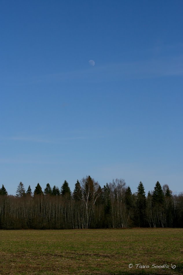 TaavoFoto: aprill 2010