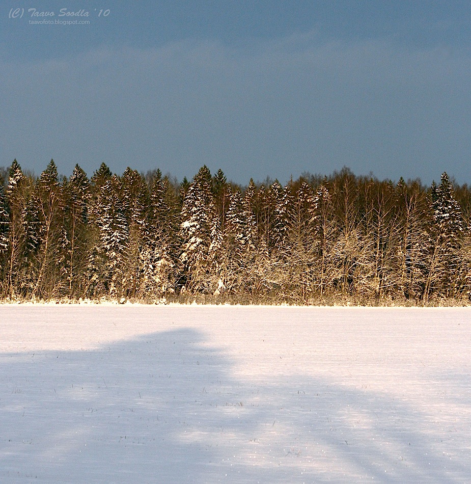 TaavoFoto: SINI-MUST-VALGE