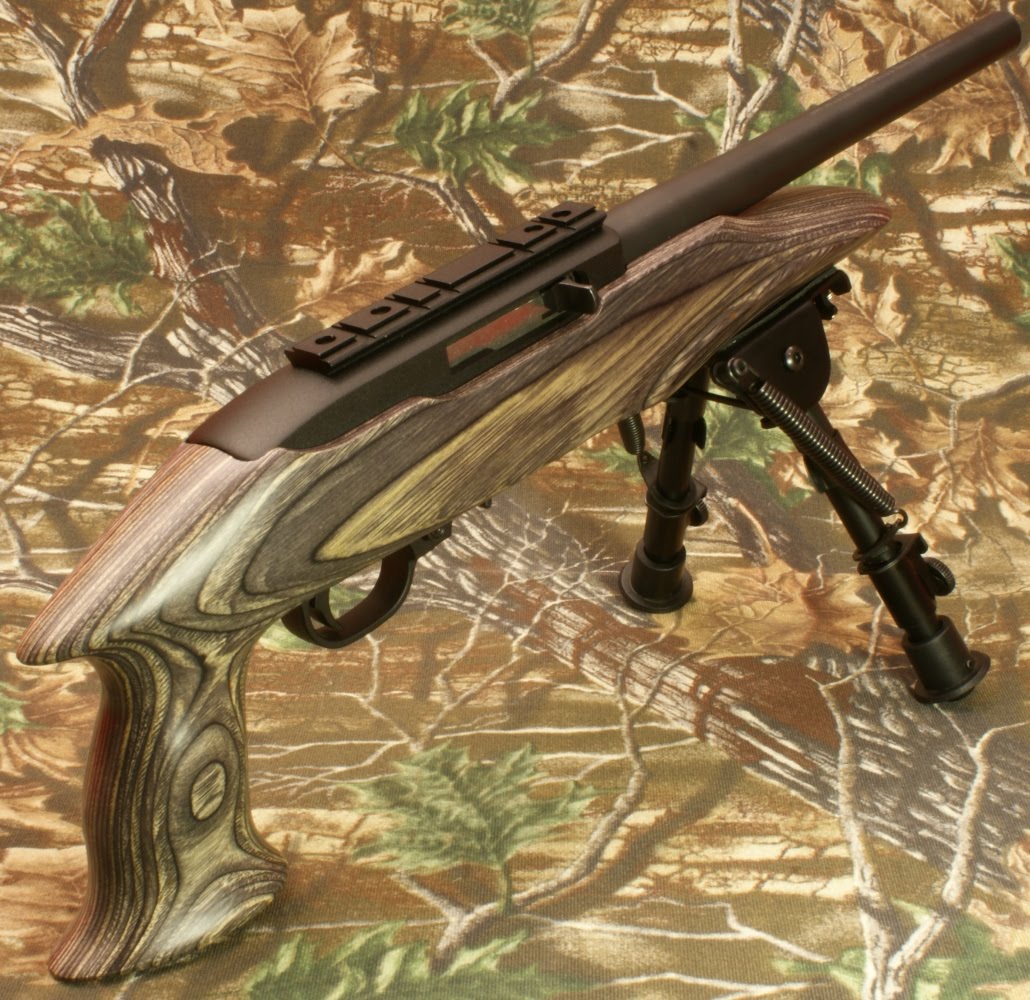 A Real Man's Objective Reviews / Gunsumer Reports: Ruger 22 Charger ...