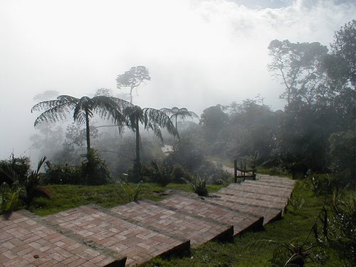 PARQUE NATURAL CHICAQUE