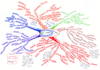 Danial Creative Studies