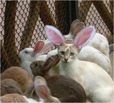 Danial Creative Studies