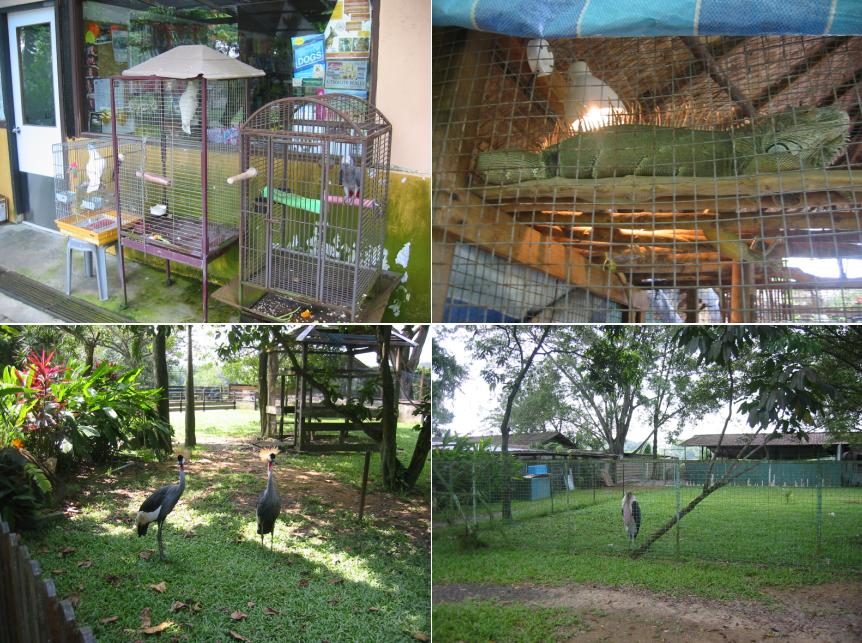 ~ The Animal Resort ~ | BPDGTravels - Building Memories Together
