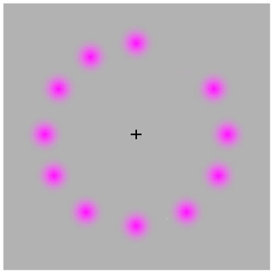 WHAT HUMANS DO: OPTICAL ILLUSIONS