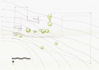 BAS 3: Contour Site Plan