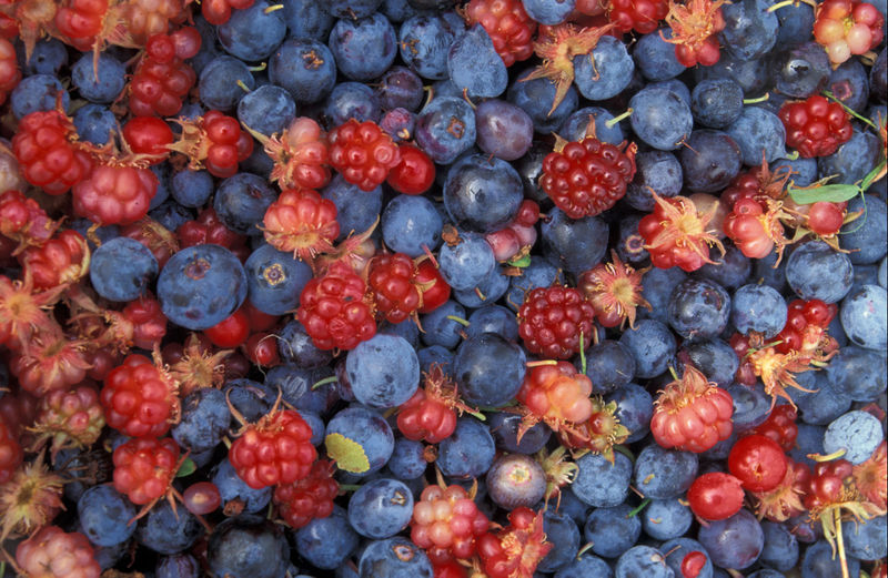Lincoln Square Chamber of Commerce: Berries, Berries Everywhere