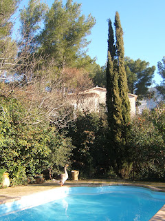 Bienvenue à "La Masure"