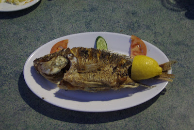 Digging Deeper Into the Bible: The Temple Tax Fish