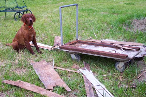 A piece of the Purest Challenge: The Life of Finn McCool