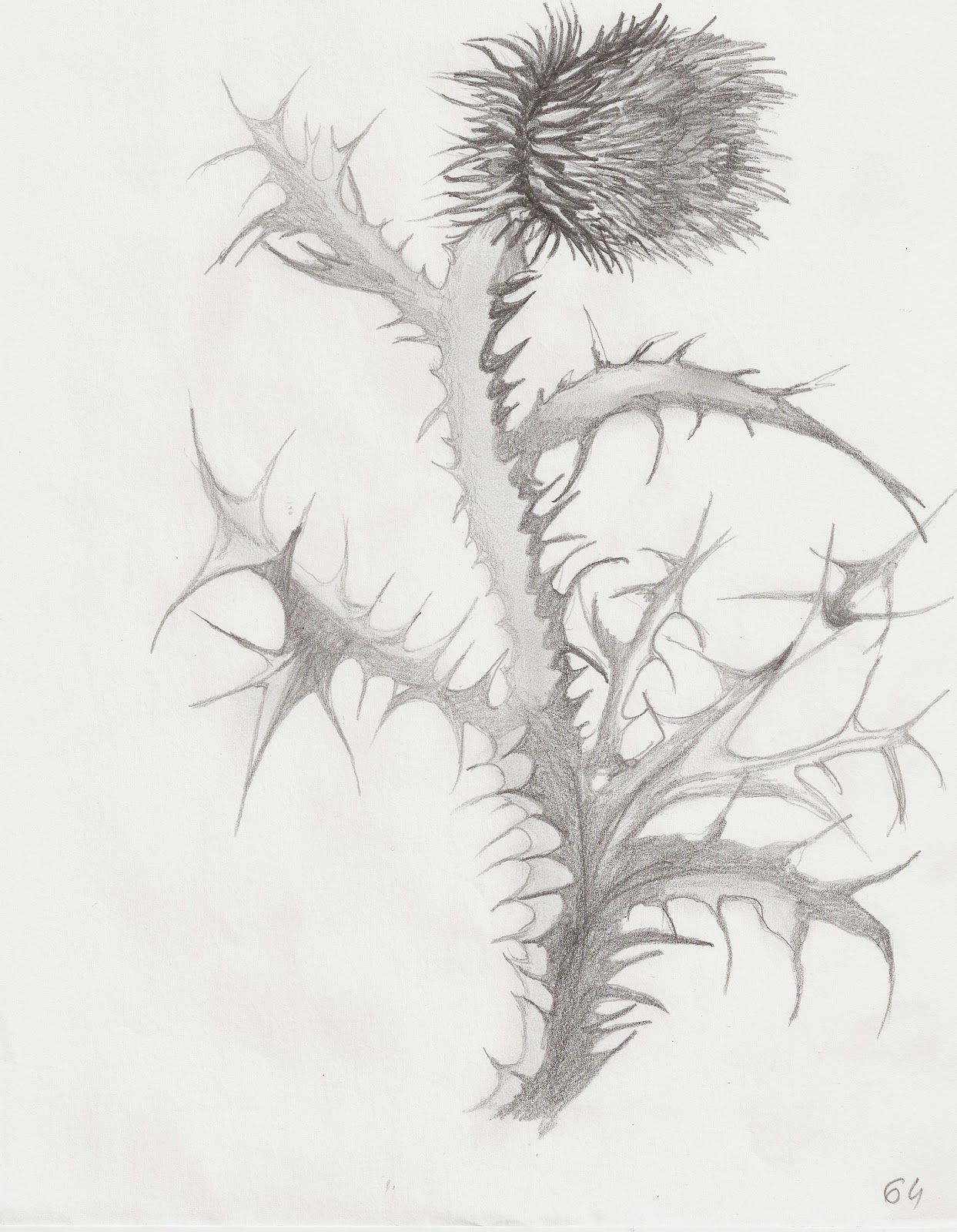 Hellen all Design: Desen creion-Flori