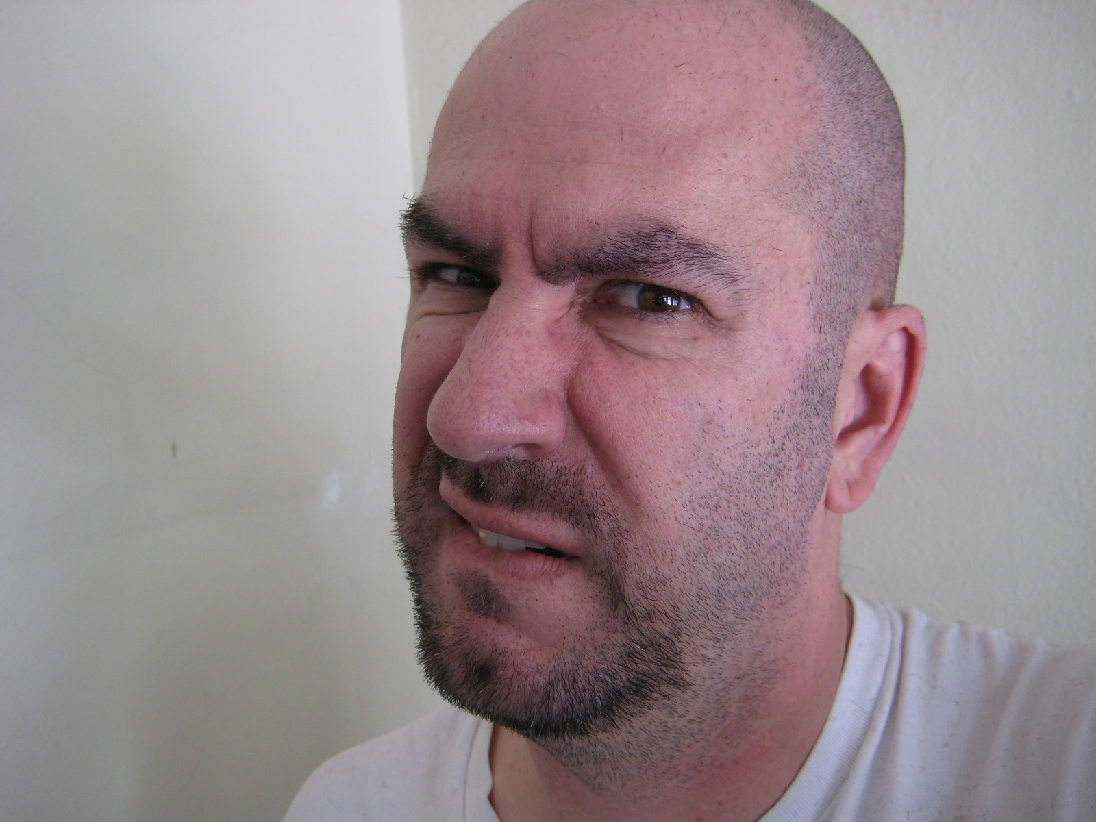 BLOBBY'S BLOG: Bald Headed Men