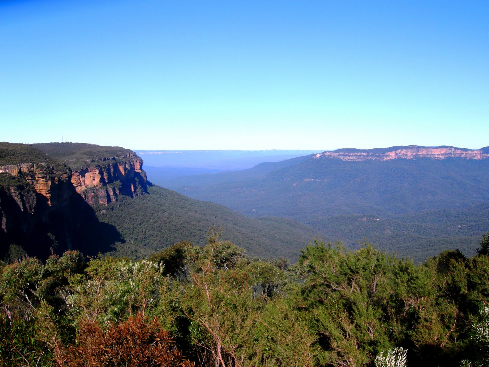 The Saga of a Sydneysider: The Beautiful Blue Mountains and Familiar ...