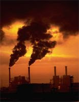 Abuse: Environmental Abuse