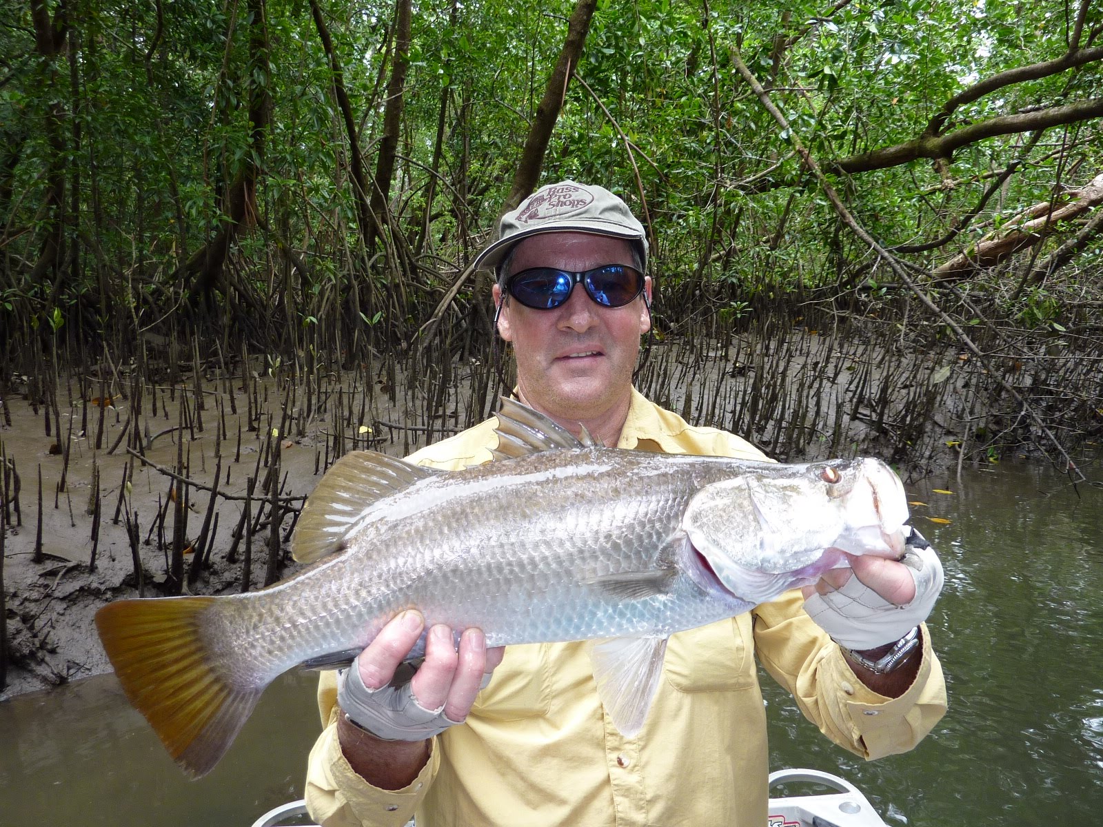 Fishing Cairns: Daintree Raining!