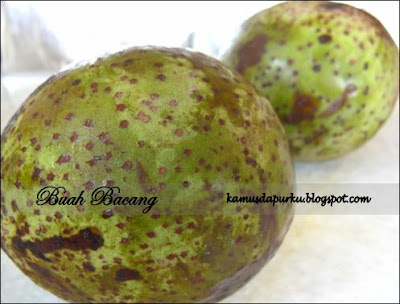 KAMUS DAPURKU: Buah Bacang atau Kweni