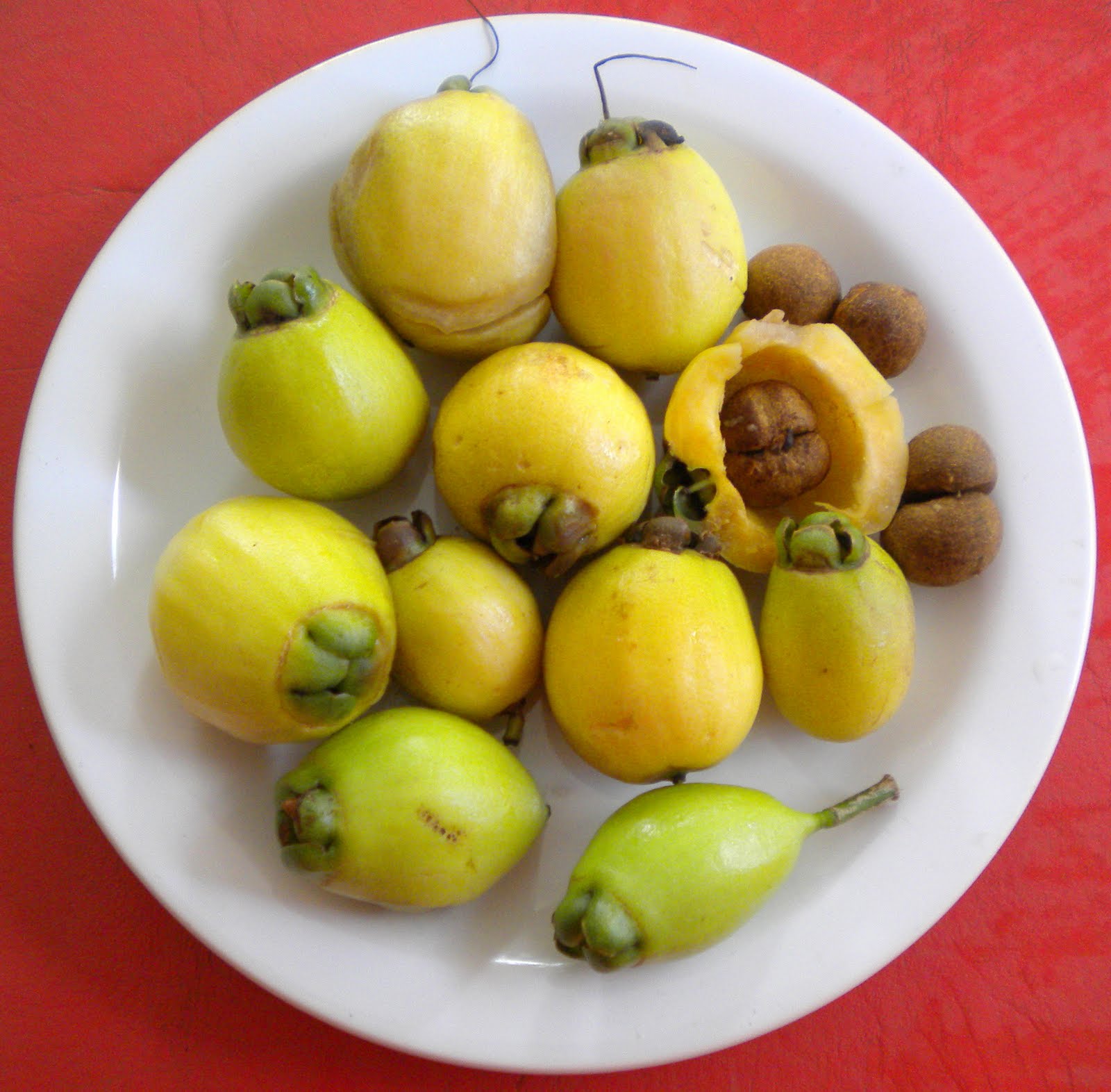 v e r d e c h a c o: Pomarrosa