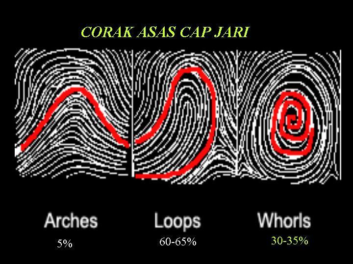 CAP JARI MANUSIA - FAKTA DARI AL-QURAN DAN HADIS SERTA SAINTIFIKNYA