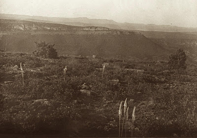 Les Beni Snous : une Causerie faite par M. Roger Bellissant, instituteur.