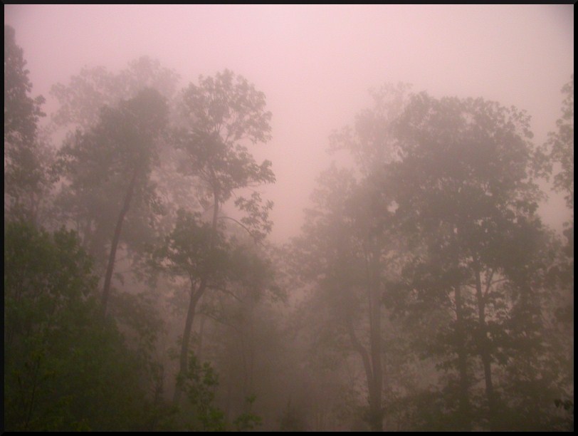 how do i love thee: pink day