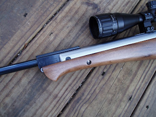 Another Airgun Blog: Derrick's Two-Tone FWB 124