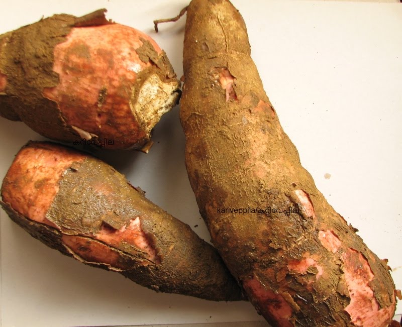 Kariveppila കറിവേപ്പില: കിഴങ്ങ് ചെറുപയർ