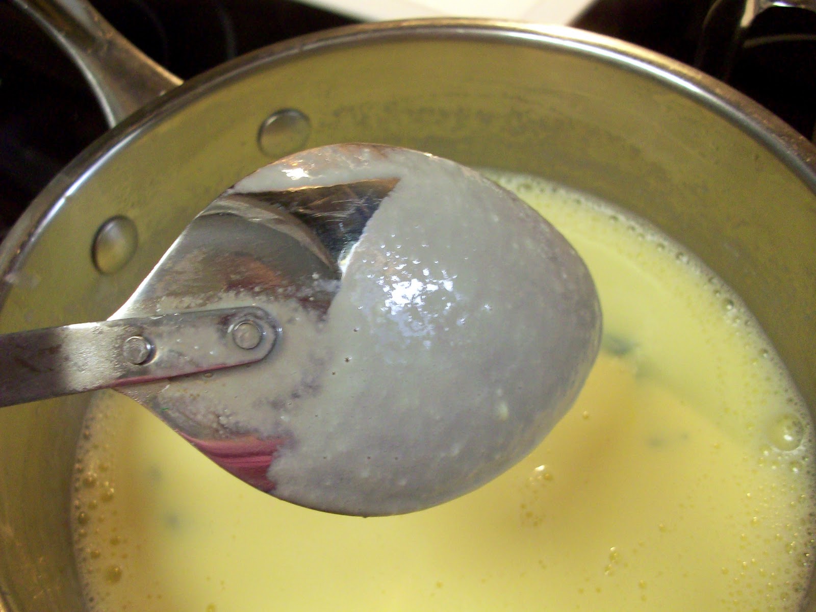 Homestead Roots: Homemade Honey Spearmint Custard!
