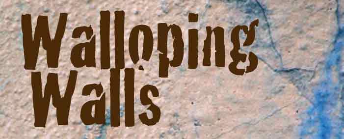 Walloping Walls: November 2009