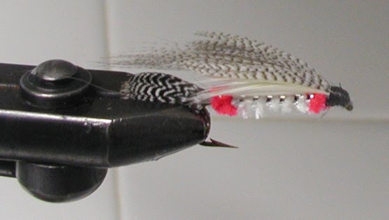 BUGGIN' OUT.: Bass Fly Pattern - Minnow Streamer