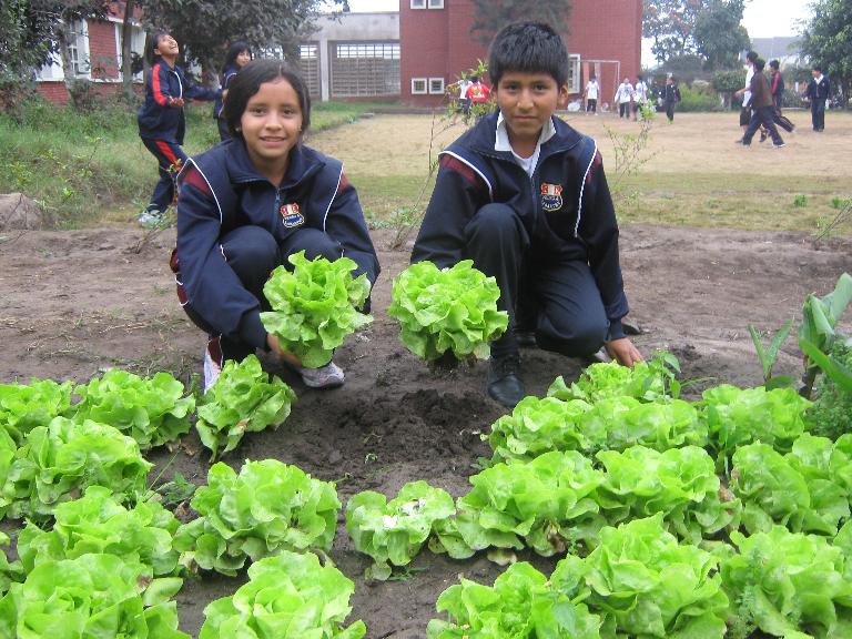 Conservemos el medio ambiente: NUESTRO BIOHUERTO ESCOLAR