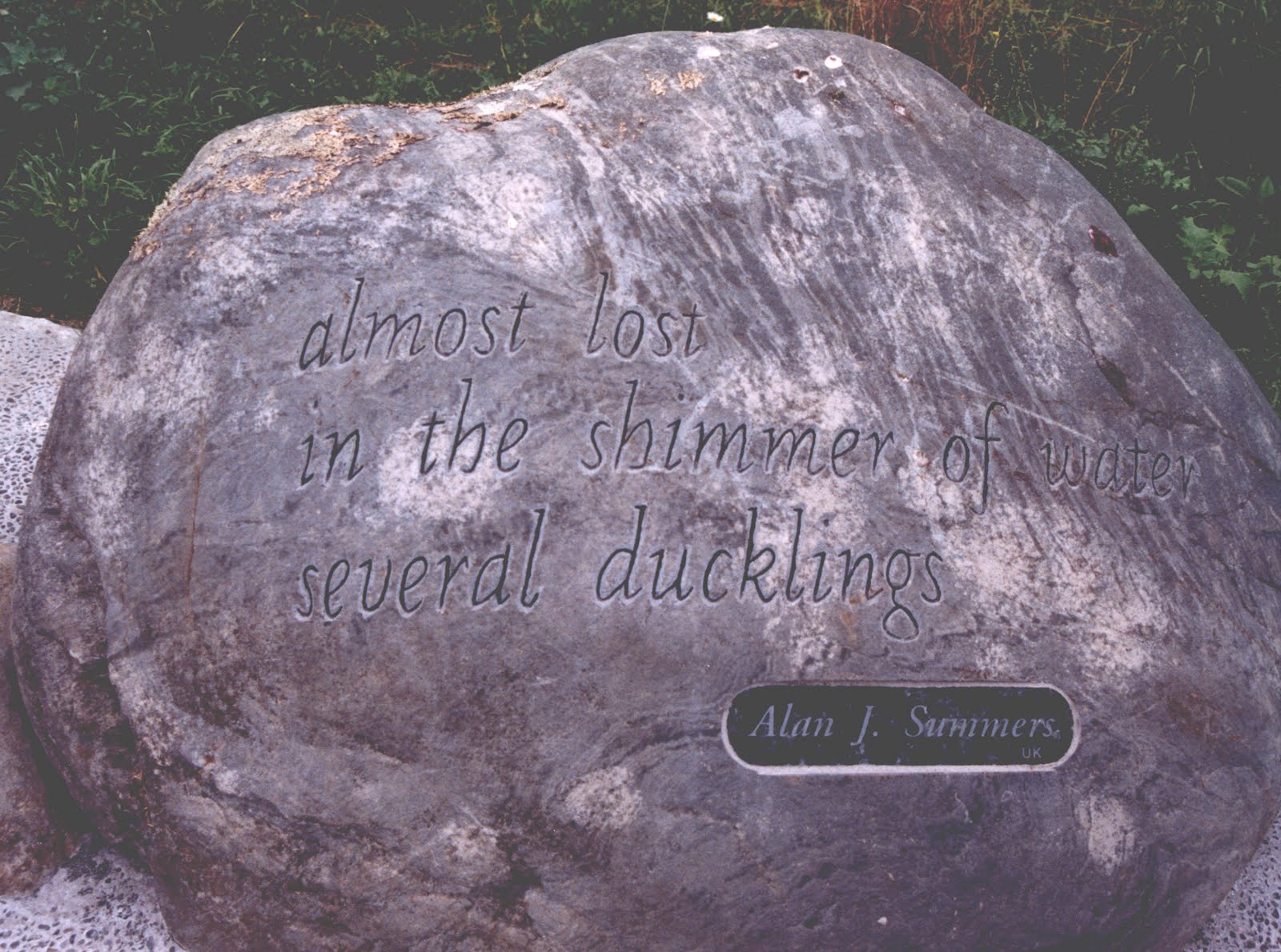 Area 17: The new Katikati Haiku Pathway guidebook is now available.